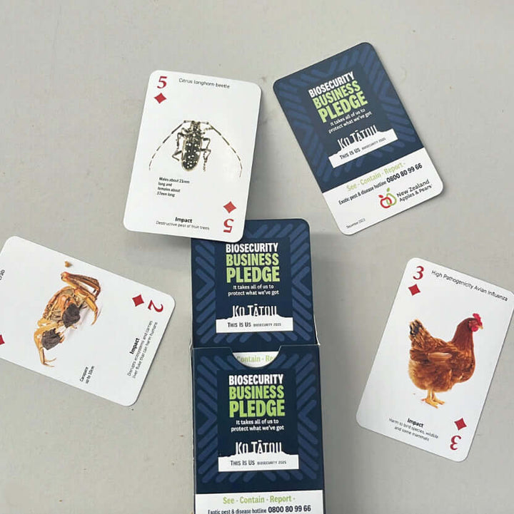 Products – Playing Cards Co.
